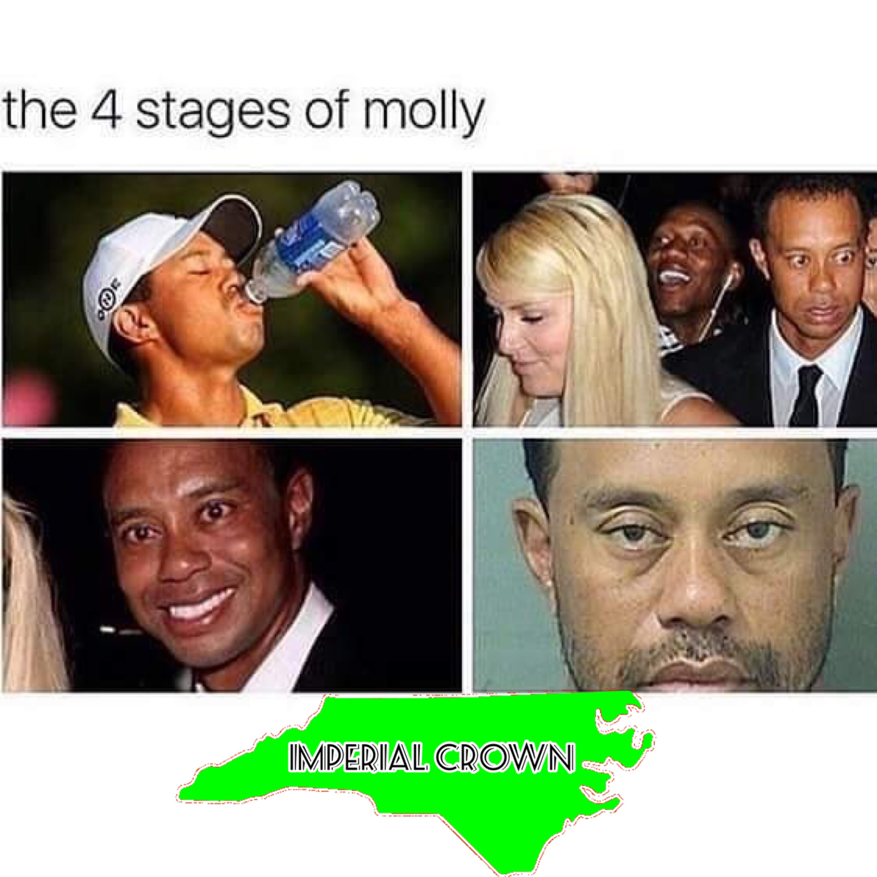 The 4 stages of molly... - Imperialcrwn.com